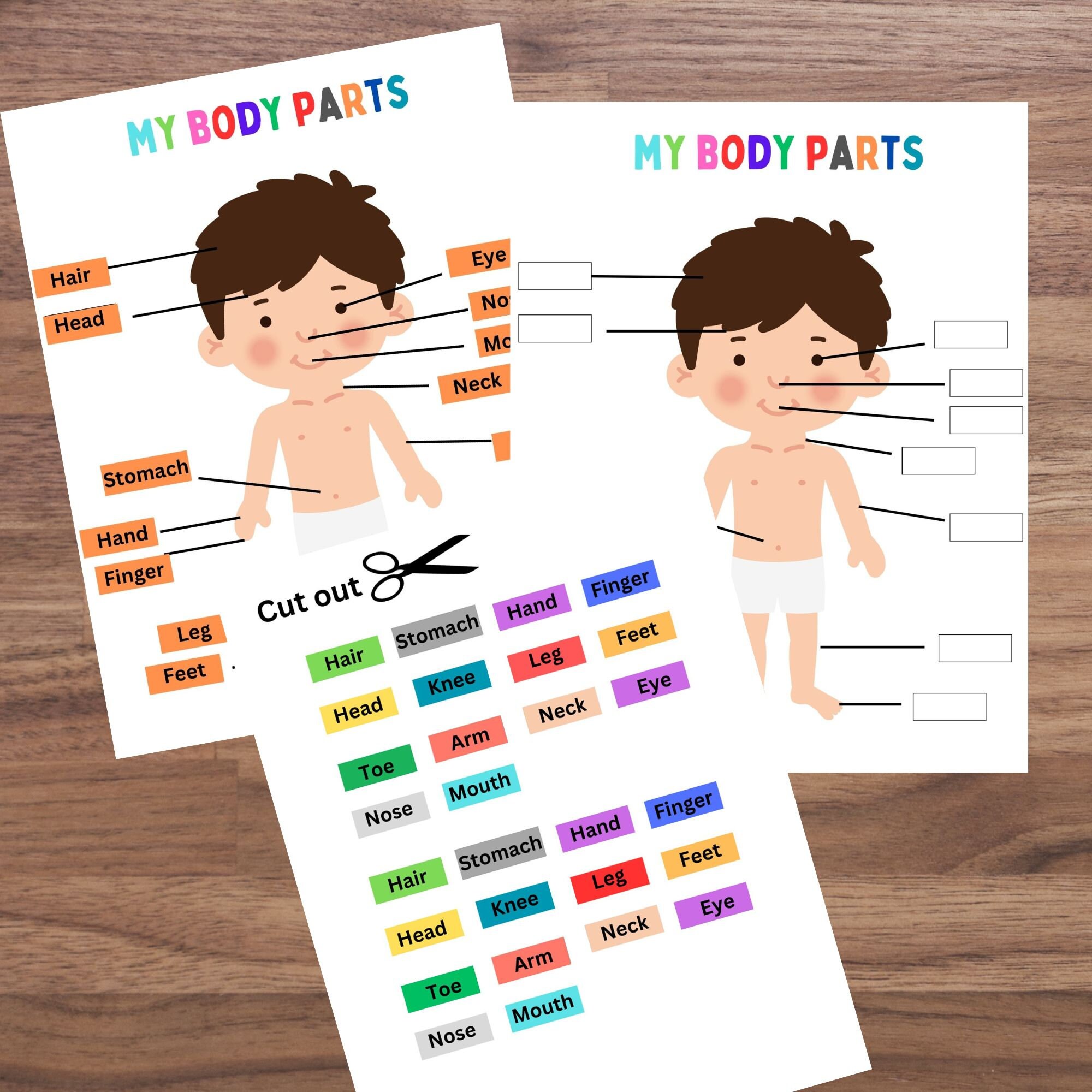 Body Parts Busy Bundle Toddler Learning Binder Kids Activities ...