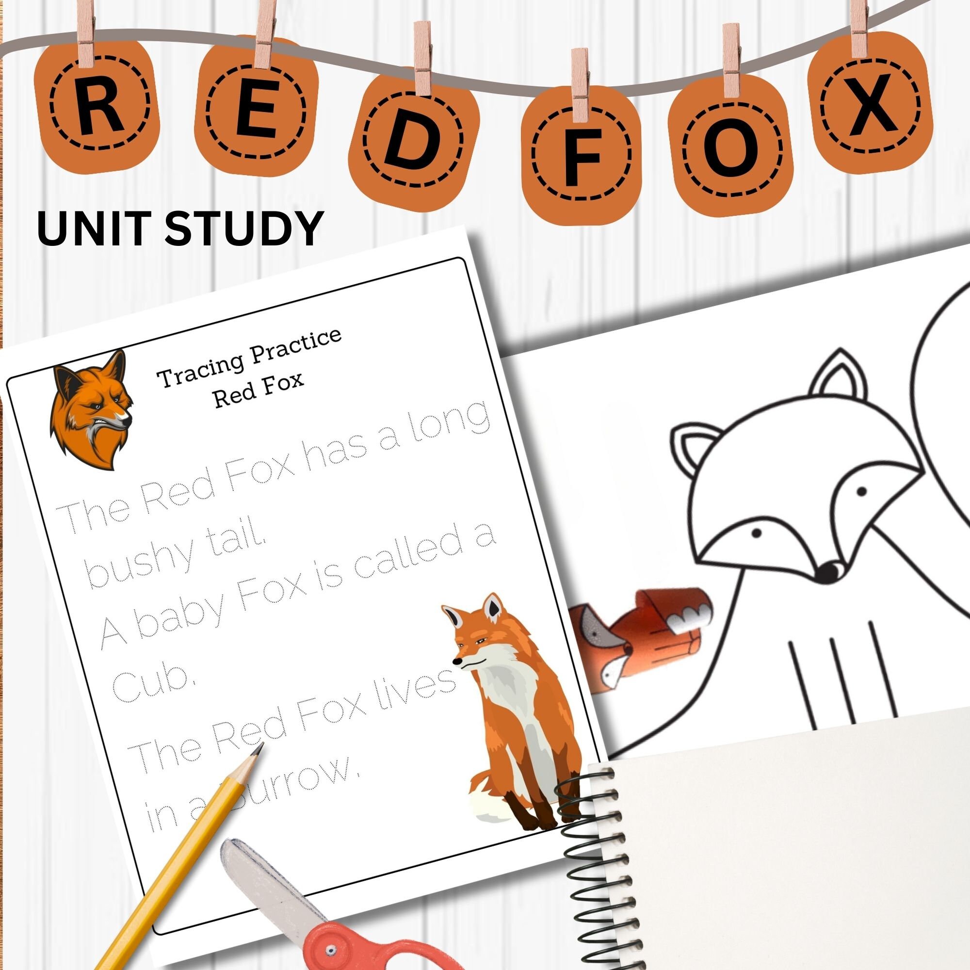 Red Fox Unit Study Homeschool Fall Activities Red Fox Anatomy & Life ...