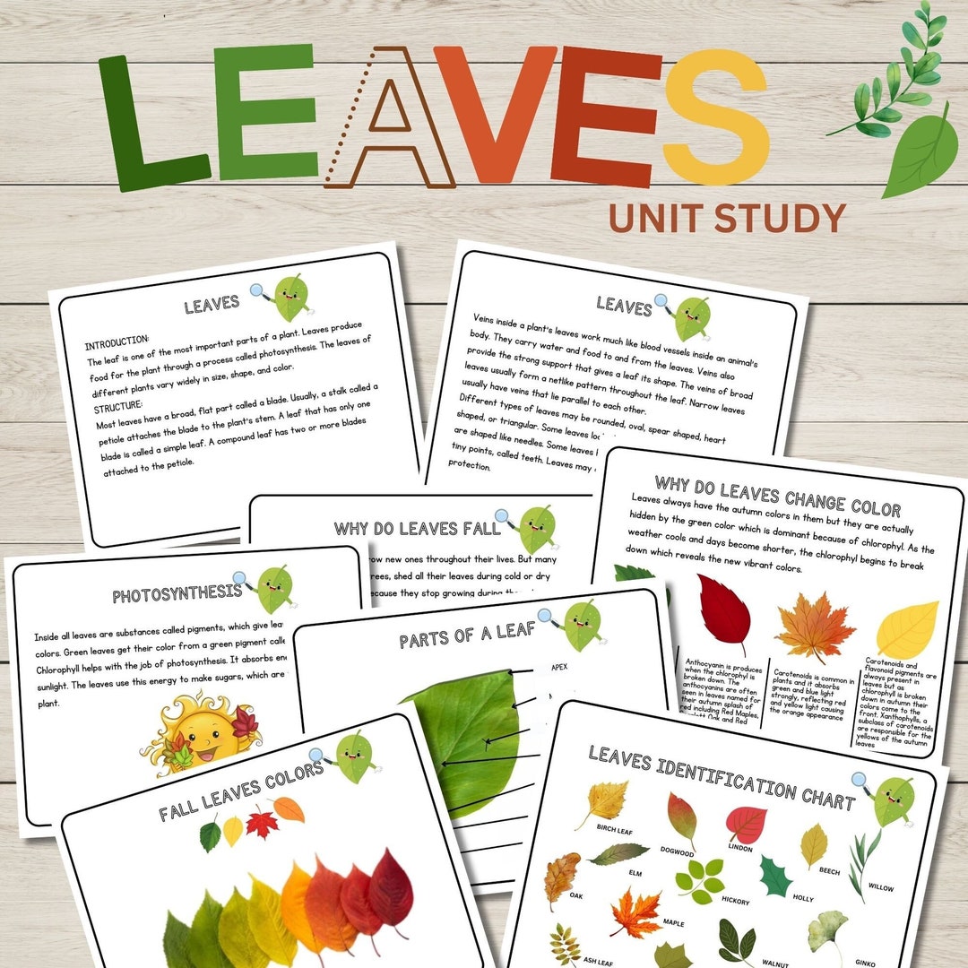 Leaves Unit Study Bundle Anatomy of a Leaf Charlotte Mason Nature Study ...