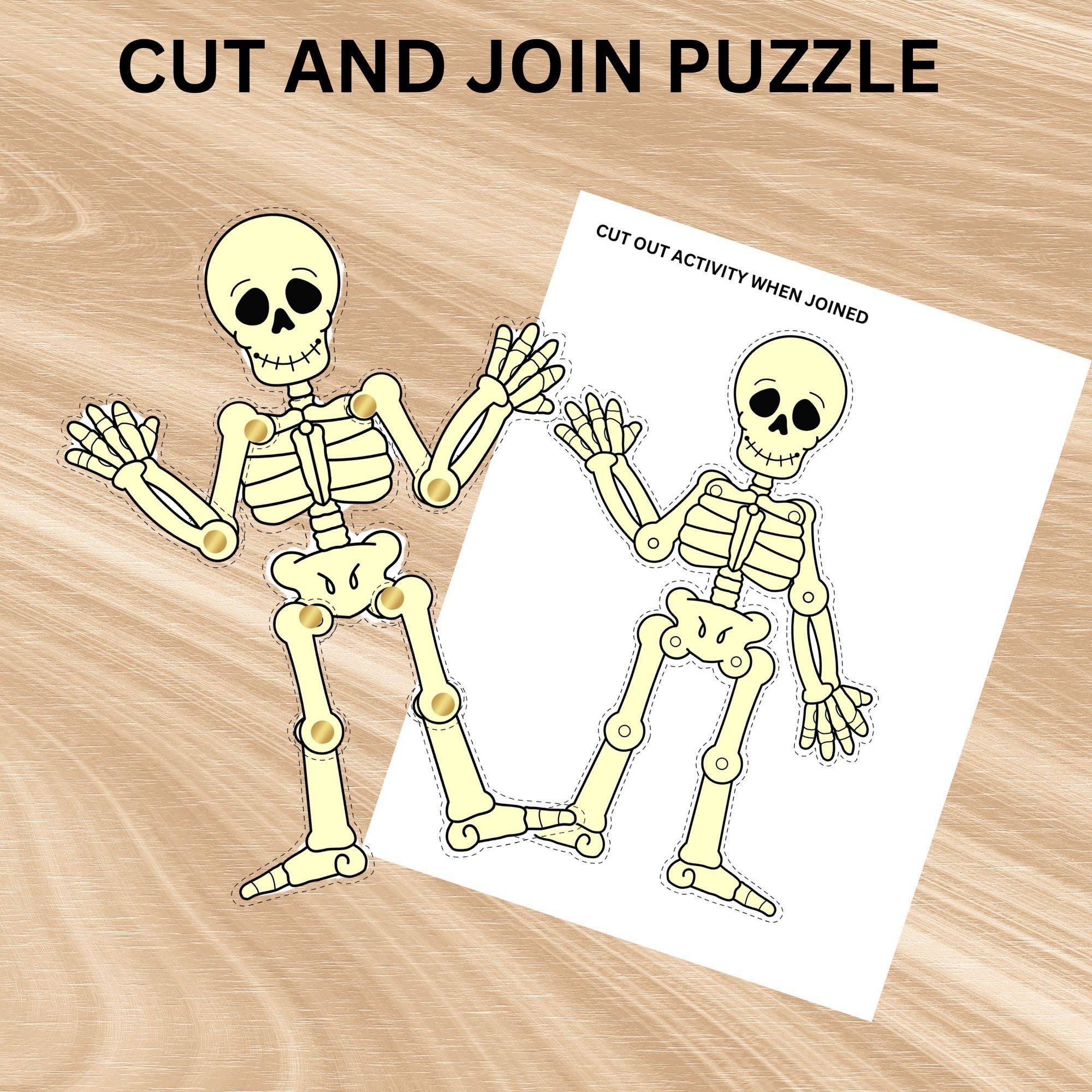 Human Skeleton Anatomy Busy Book Skeleton Study Printable Kids Learning ...