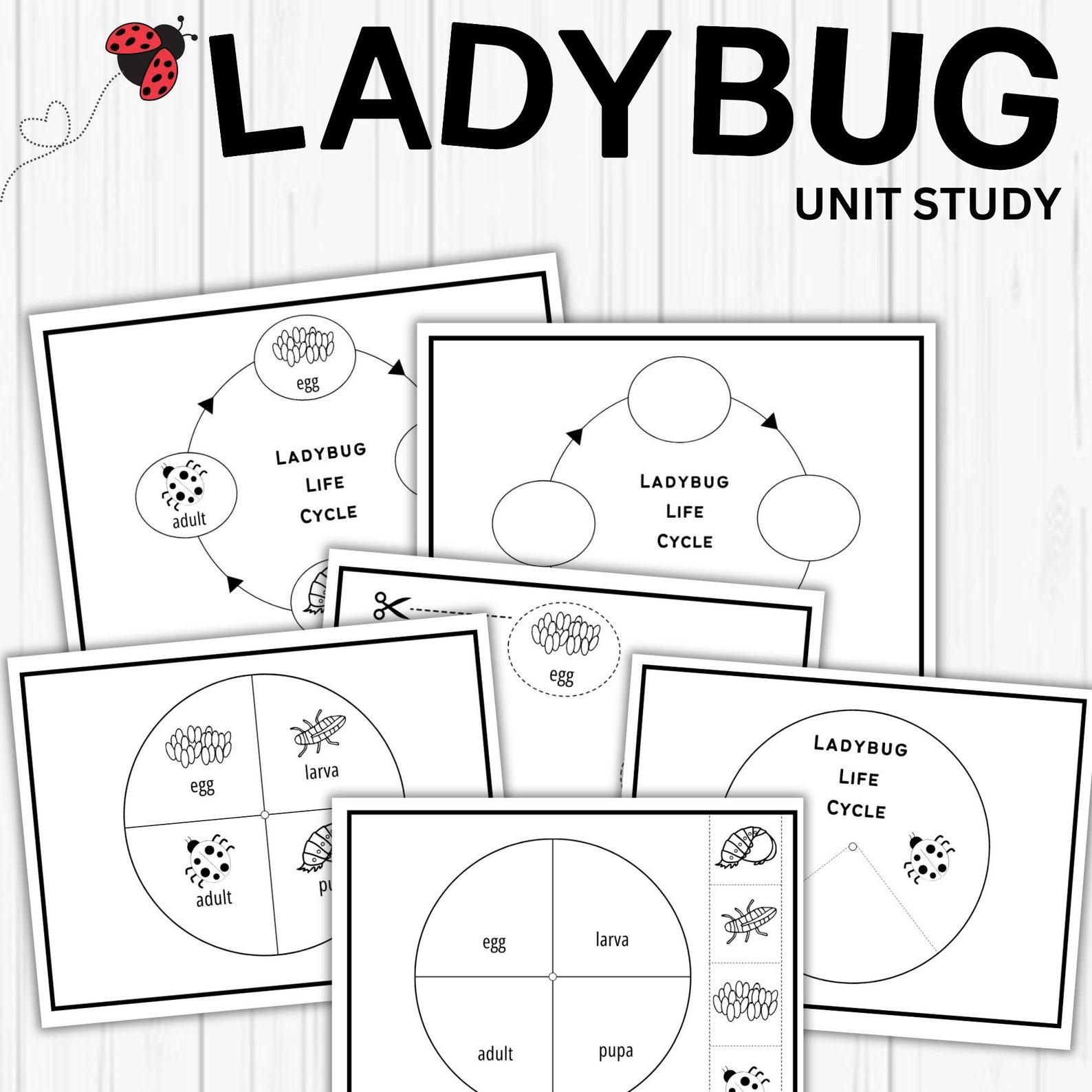 Ladybug Unit Study Homeschool Spring Printables Charlotte Mason ...
