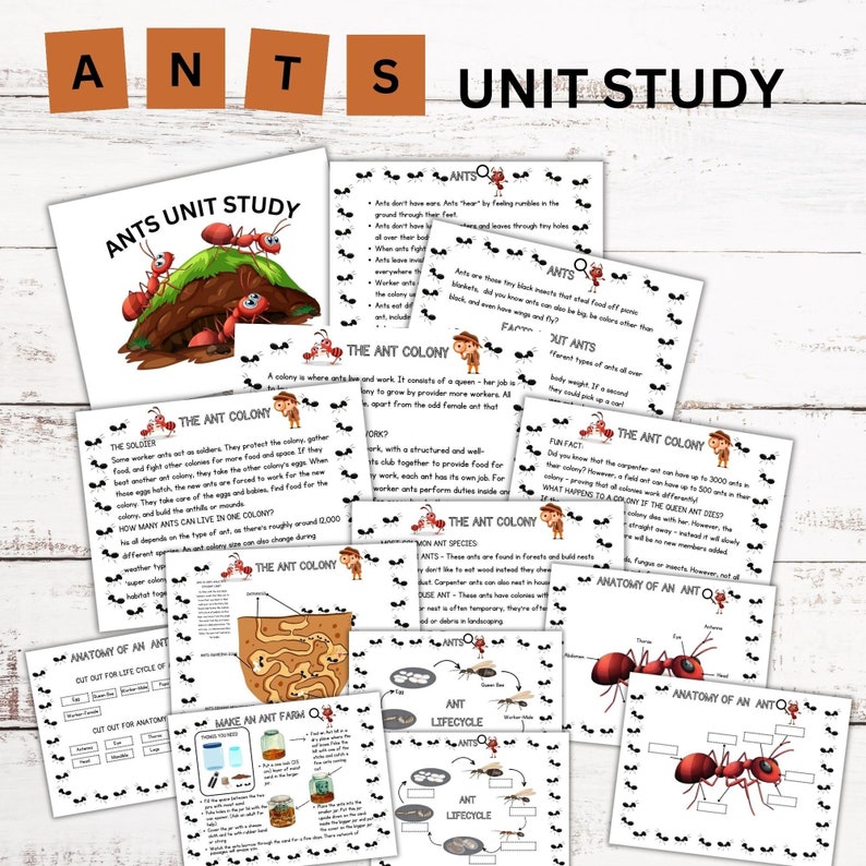Ant Nature Study Bundle Charlotte Mason Ant Colony Learning Materials ...