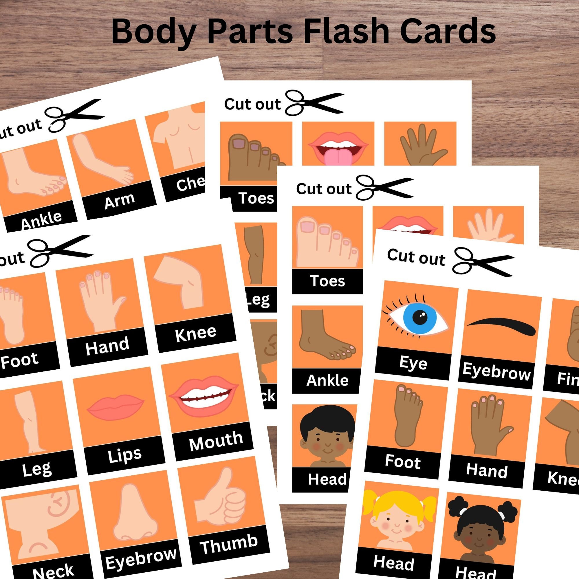 Body Parts Busy Bundle Toddler Learning Binder Kids Activities ...