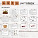 Ant Nature Study Bundle Charlotte Mason Ant Colony Learning Materials ...