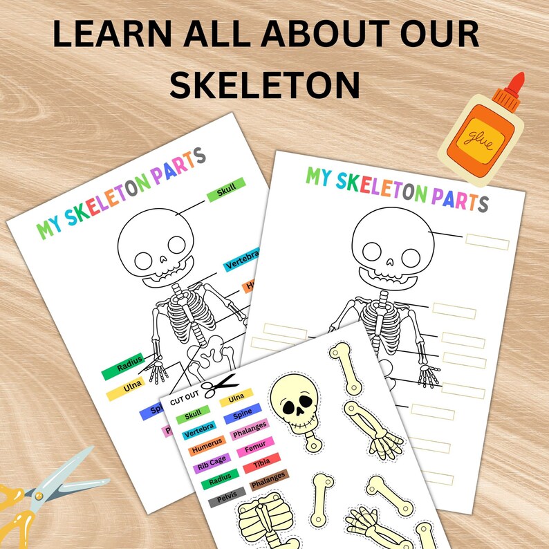 Human Skeleton Anatomy Busy Book Skeleton Study Printable Kids Learning ...