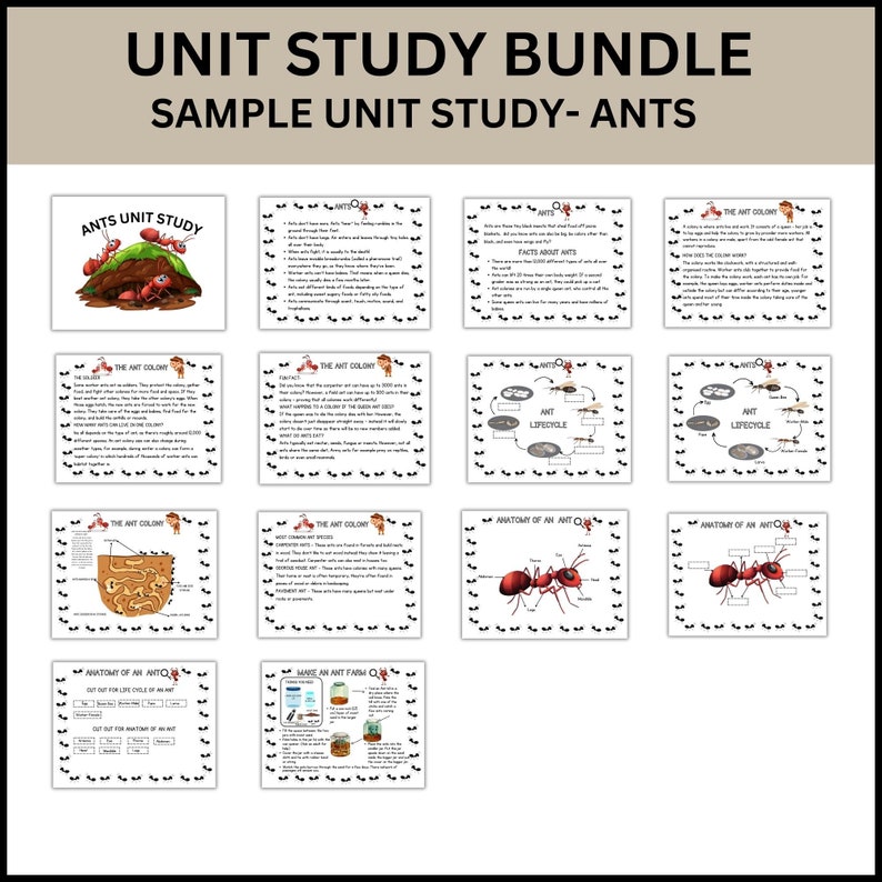 Unit Study MEGA BUNDLE Set of 25 Printable Preschool Unit Studies for ...
