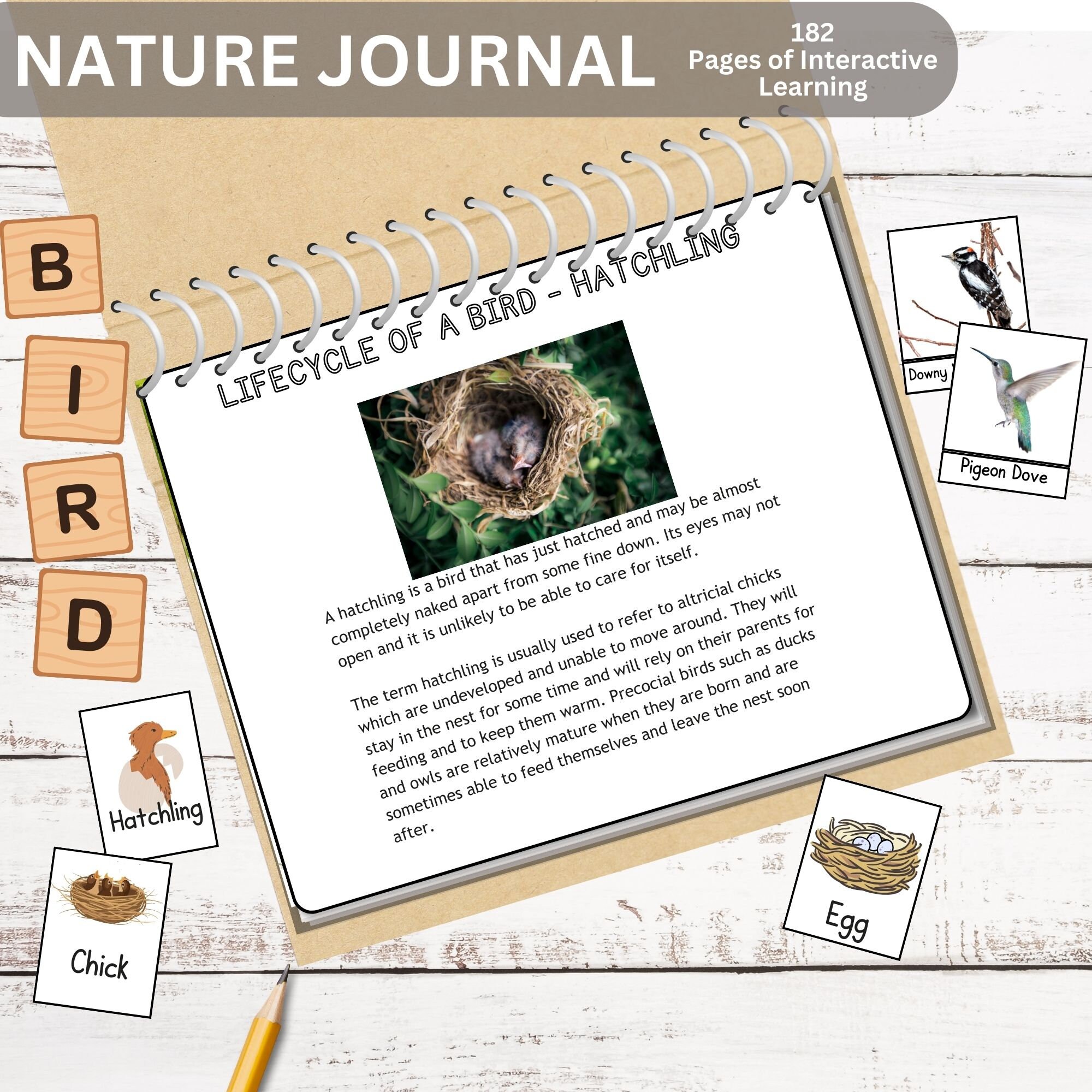 Nature Journal Mega Bundle Homeschool Learning Materials Charlotte ...