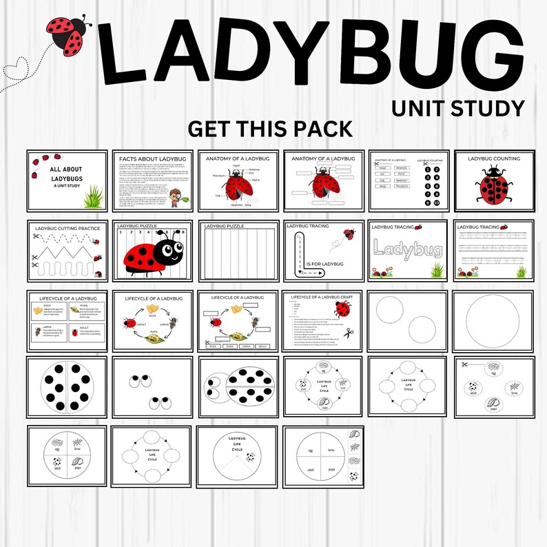 Ladybug Unit Study Homeschool Spring Printables Charlotte Mason ...