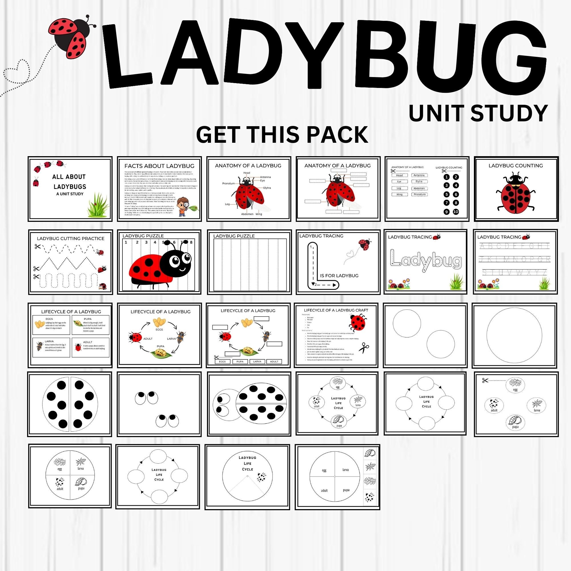 Ladybug Unit Study Homeschool Spring Printables Charlotte Mason ...