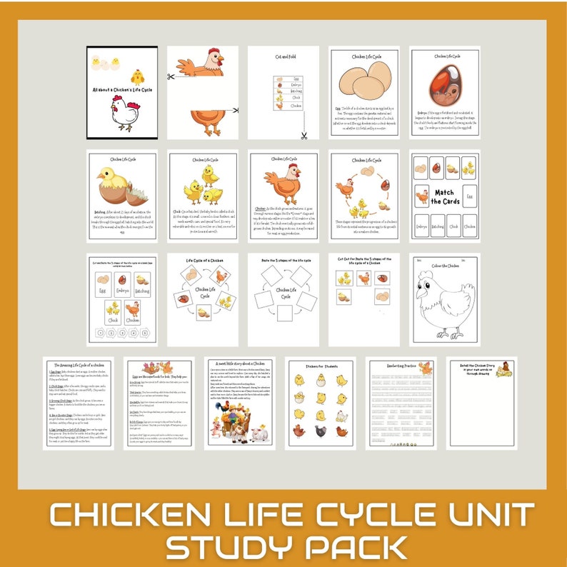 Chicken Unit Study Homeschool Summer Activities Chicken and Chick Life ...