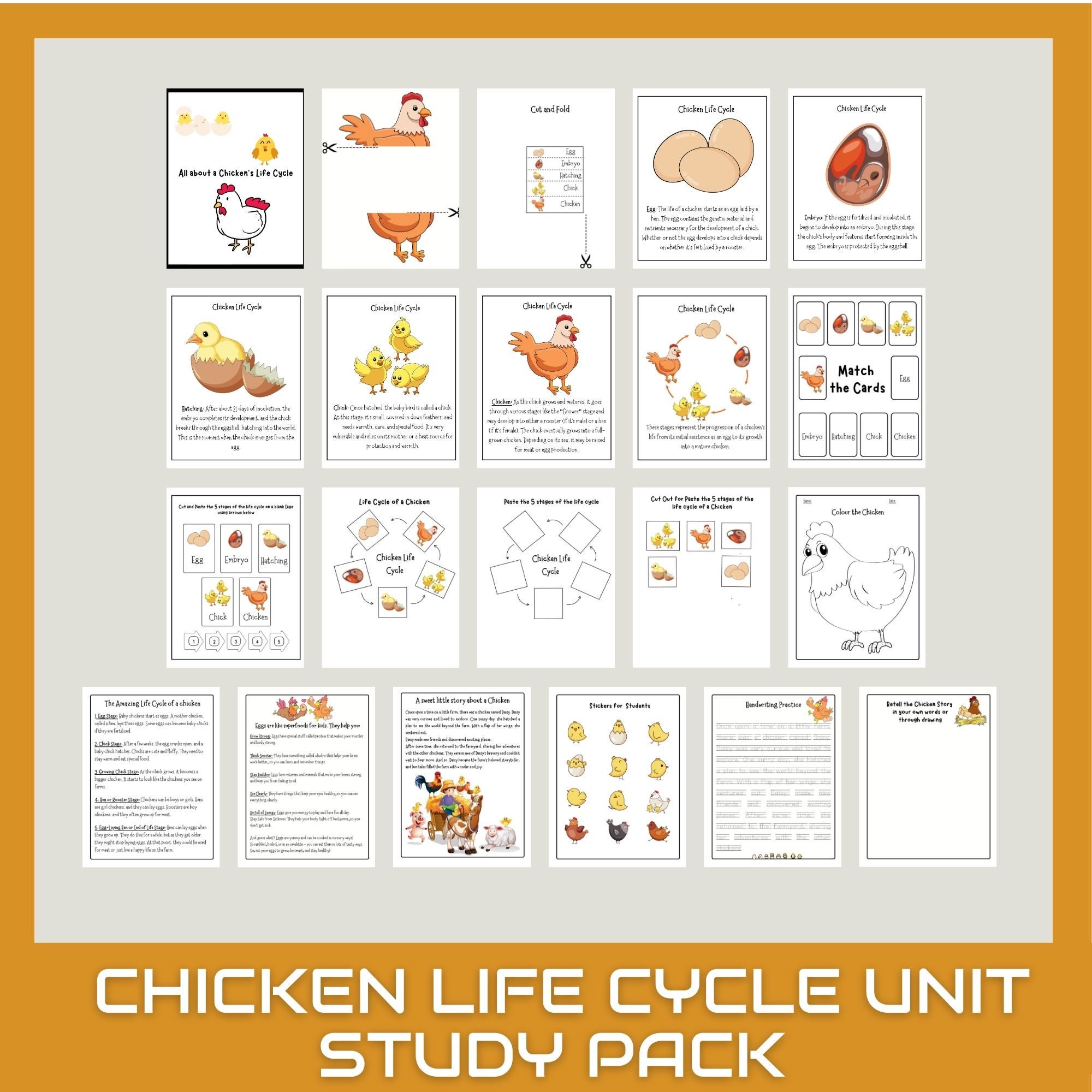 Chicken Unit Study Homeschool Summer Activities Chicken and Chick Life ...