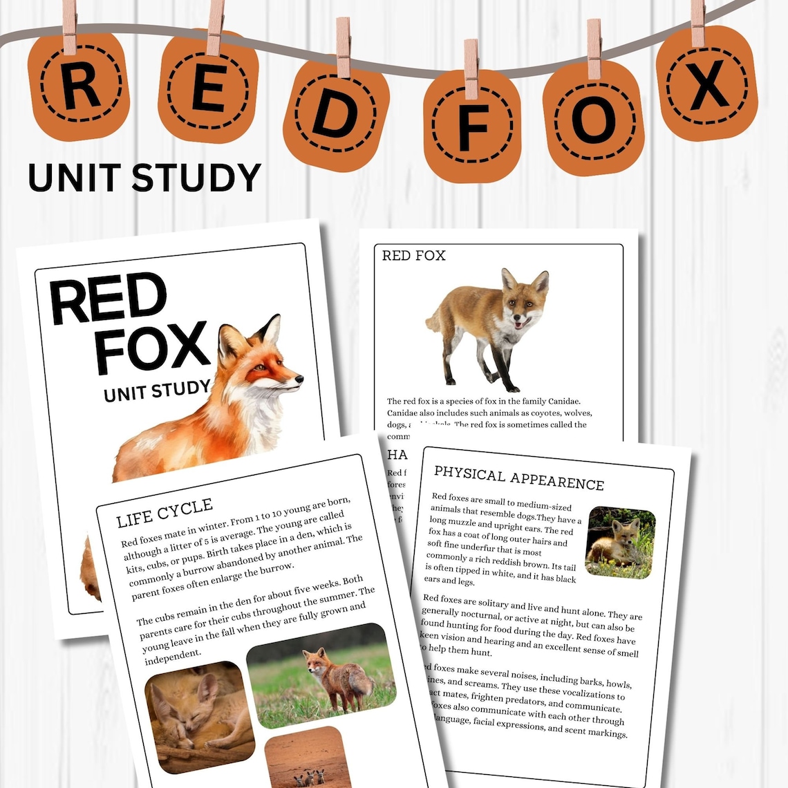 Red Fox Unit Study Homeschool Fall Activities Red Fox Anatomy & Life ...