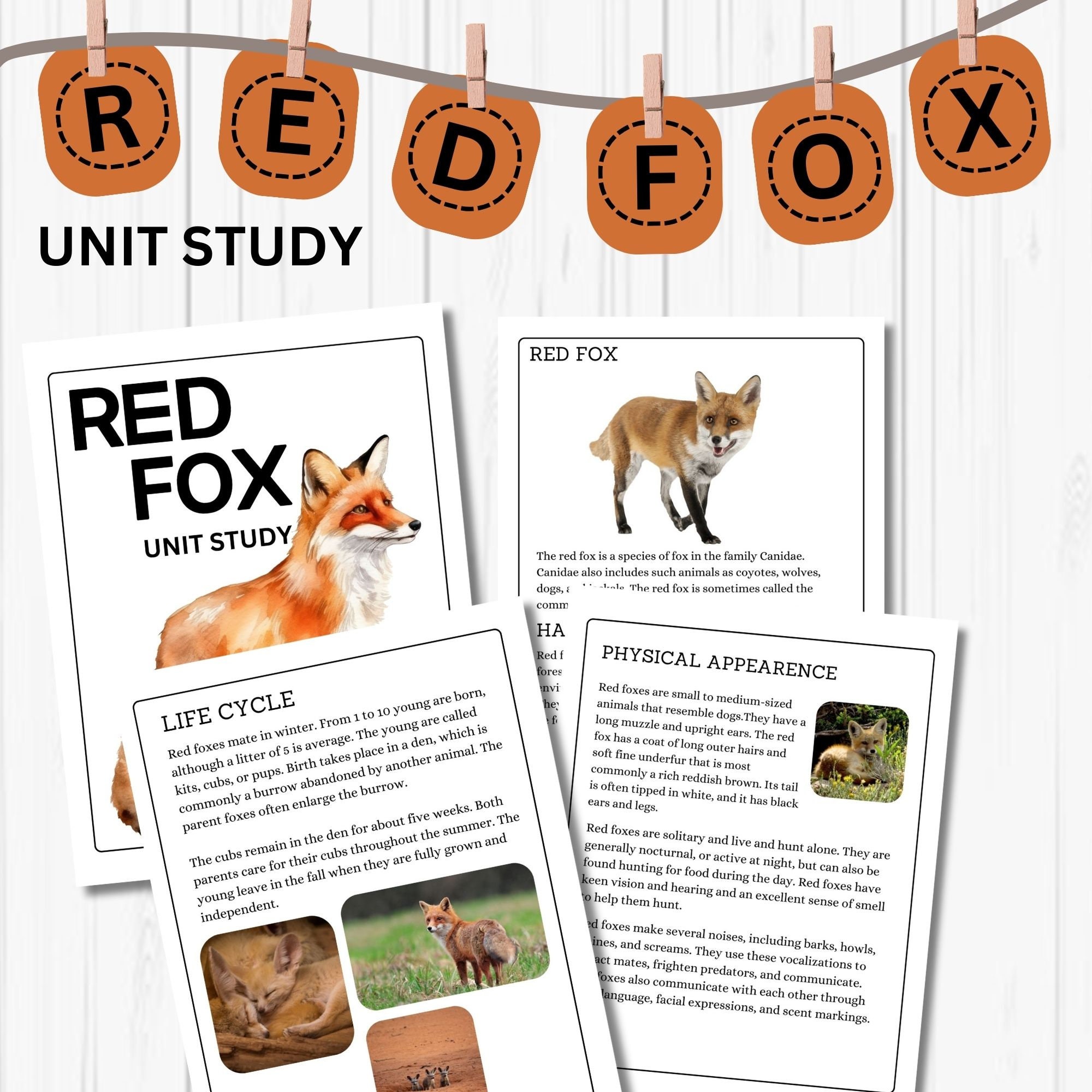 Red Fox Unit Study Homeschool Fall Activities Red Fox Anatomy & Life ...