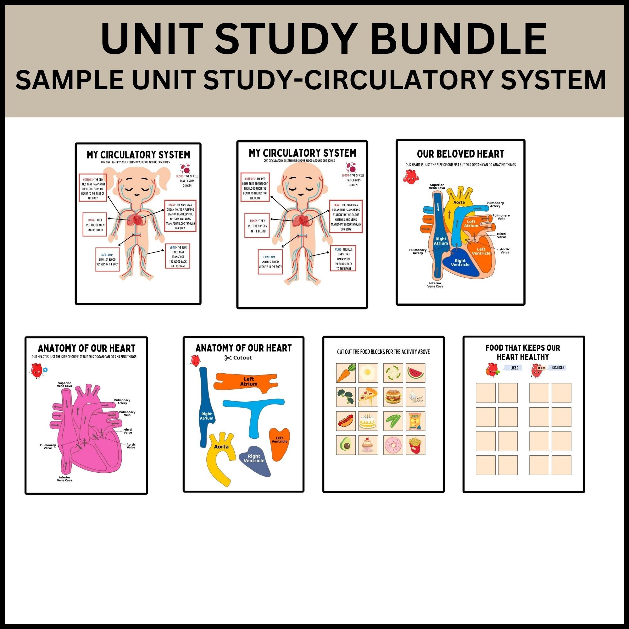Unit Study MEGA BUNDLE Set of 25 Printable Preschool Unit Studies for ...