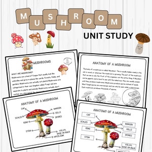 Mushroom Unit Study Life Cycle Anatomy Nature Study Coloring Maze Types ...