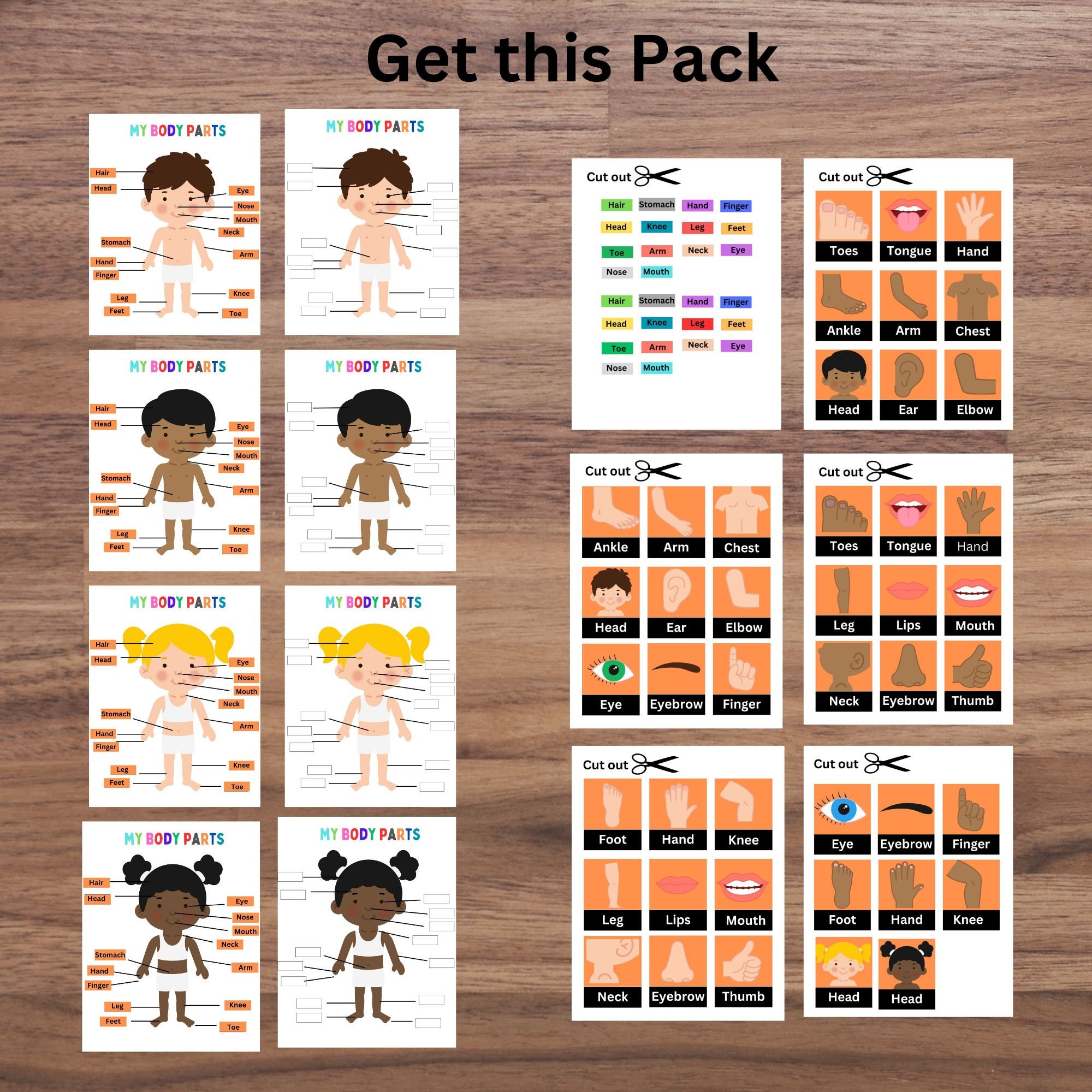 Body Parts Busy Bundle Toddler Learning Binder Kids Activities ...