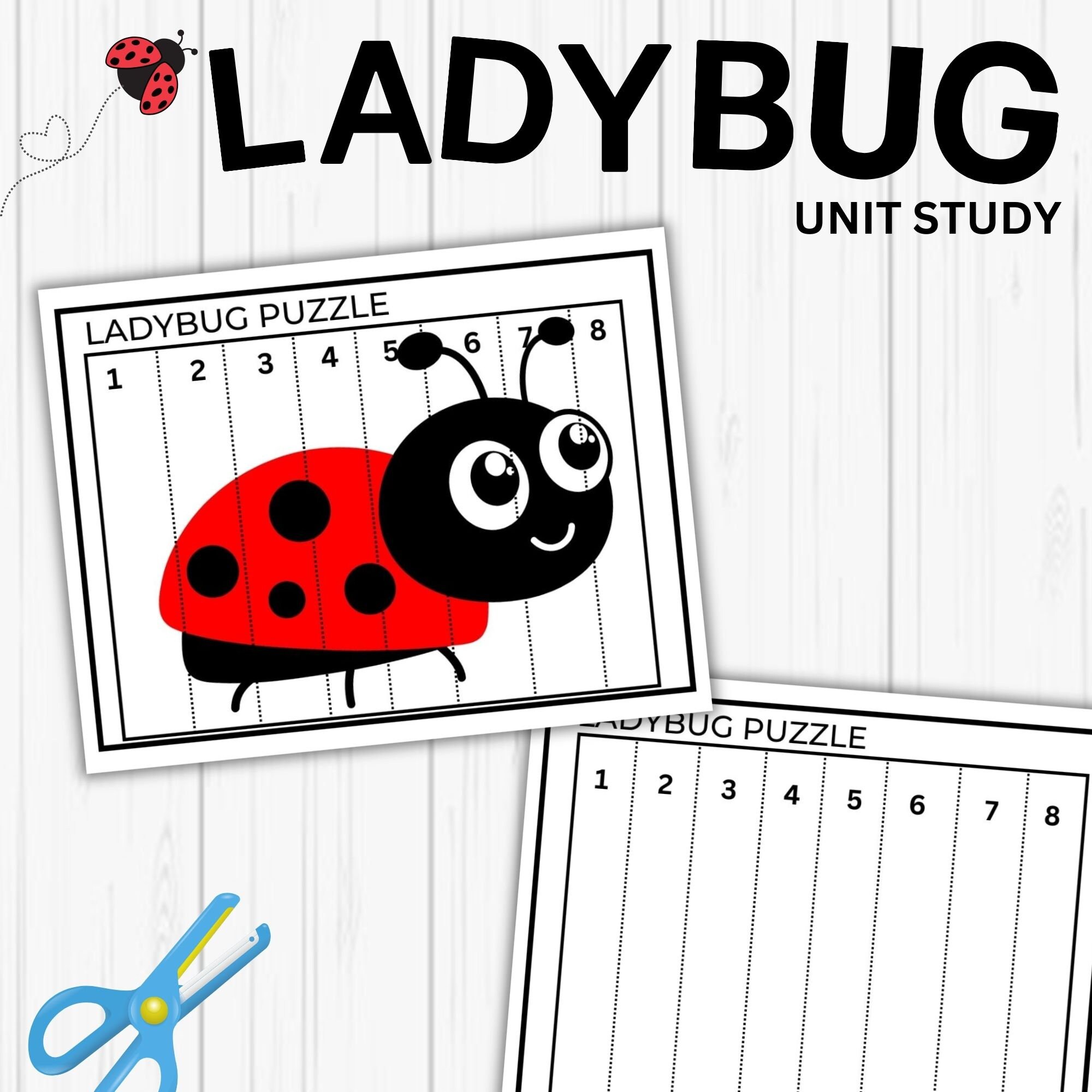 Ladybug Unit Study Homeschool Spring Printables Charlotte Mason ...
