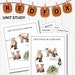 Red Fox Unit Study Homeschool Fall Activities Red Fox Anatomy & Life ...