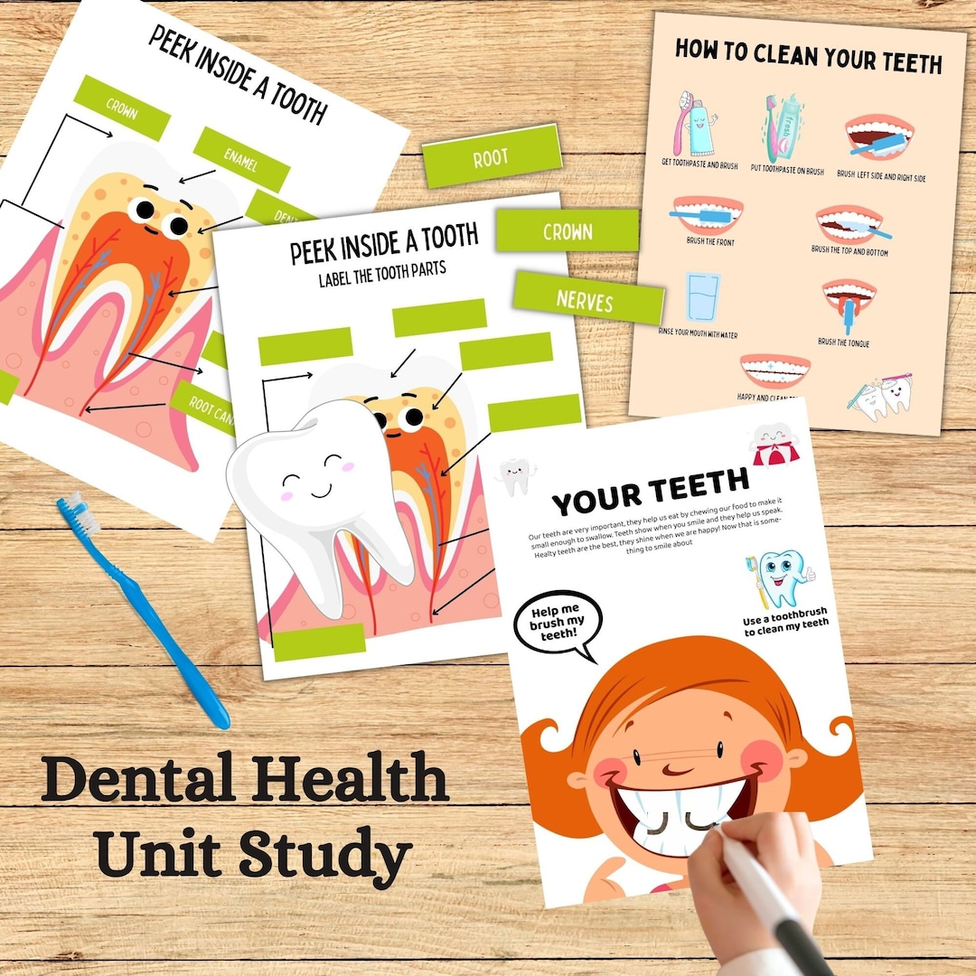 Dental Health Kids Busy Book Printable Human Tooth Anatomy Worksheet ...