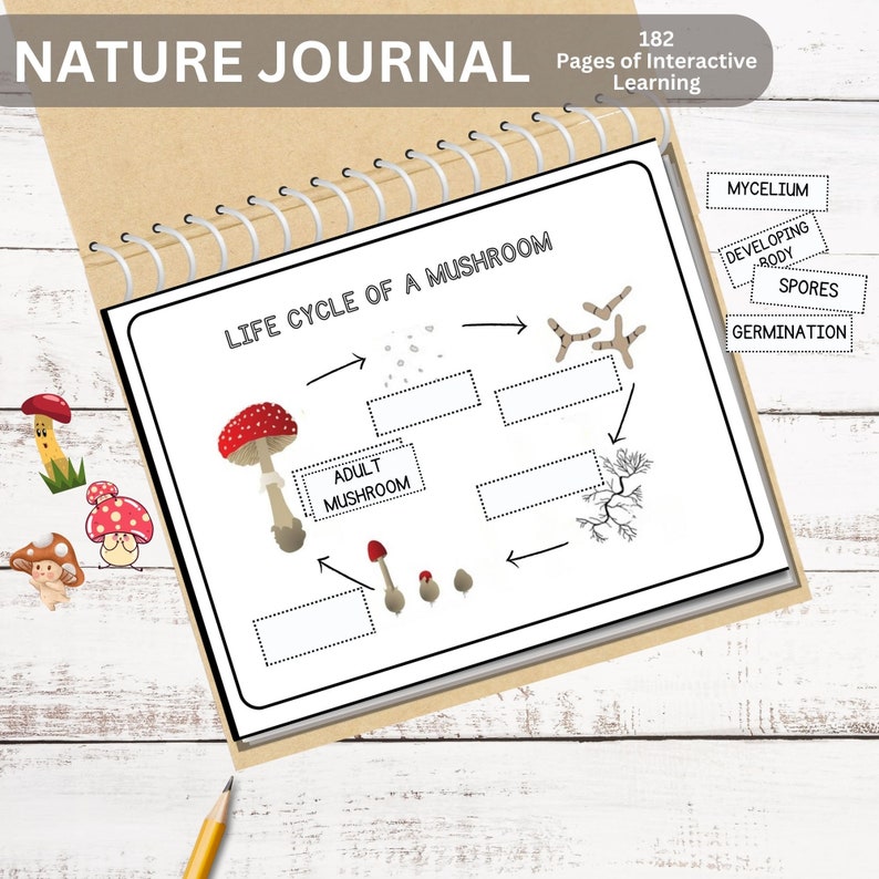 Nature Journal Mega Bundle Homeschool Learning Materials Charlotte ...