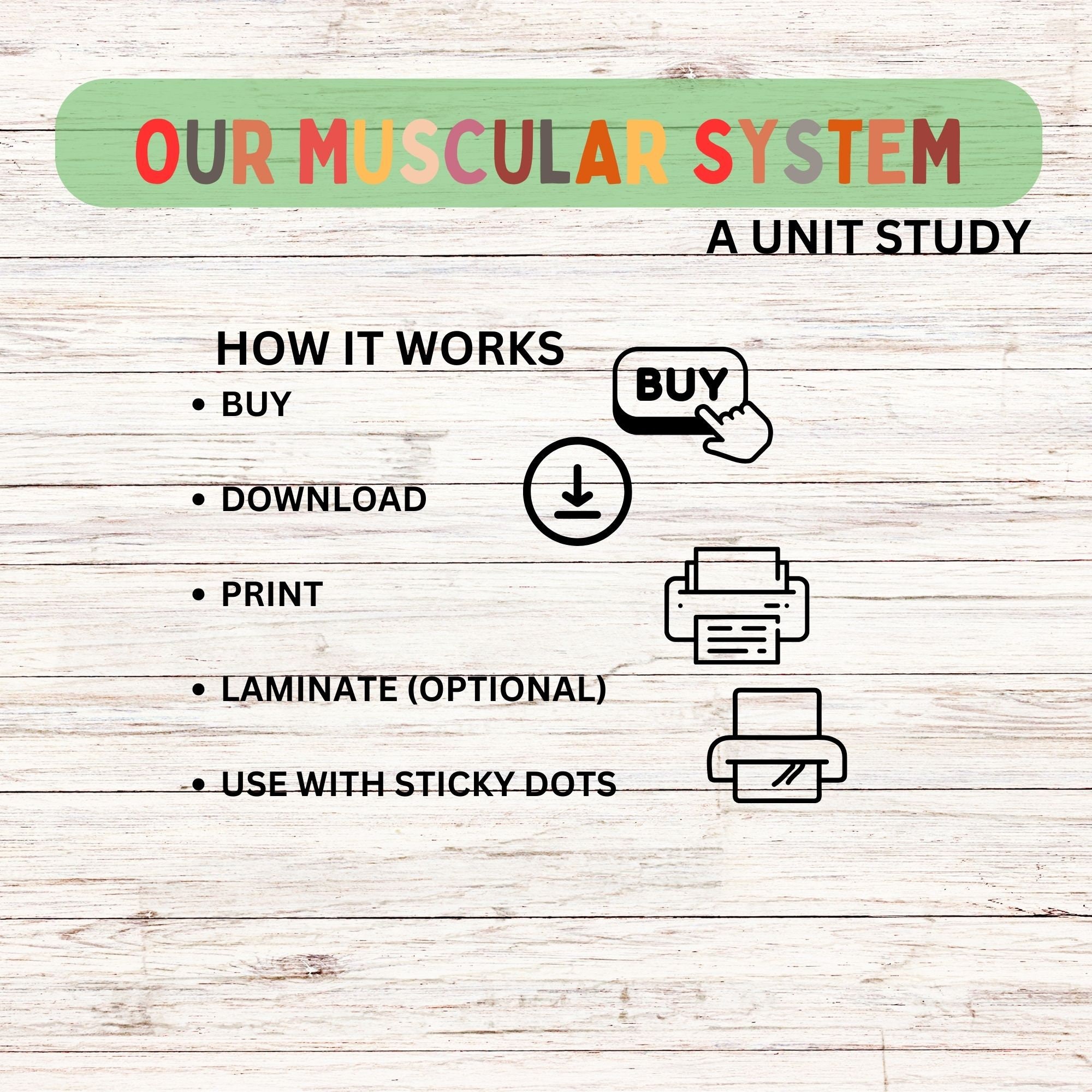 Muscular System Learning Bundle Human Anatomy Activity About Me Toddler ...
