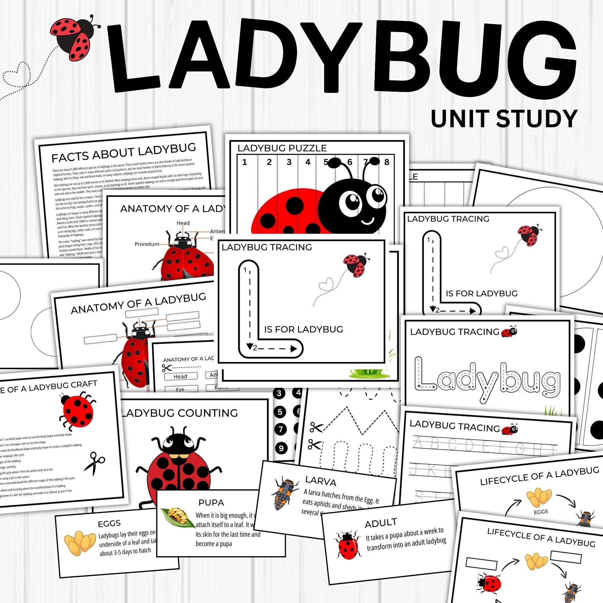 Ladybug Unit Study Homeschool Spring Printables Charlotte Mason ...
