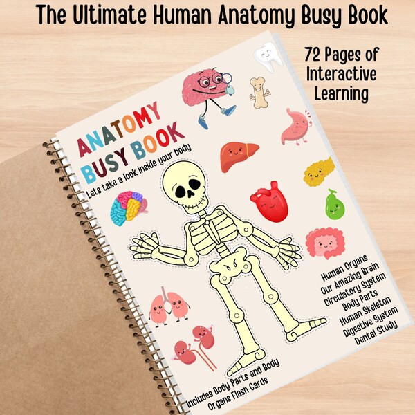 Human Anatomy Printable - Etsy