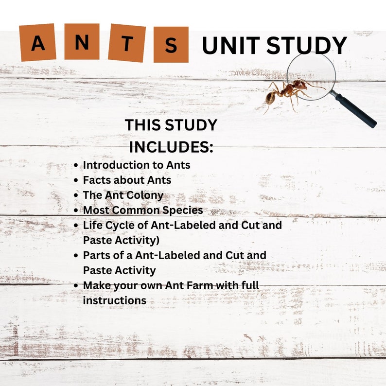 Ant Nature Study Bundle Charlotte Mason Ant Colony Learning Materials ...
