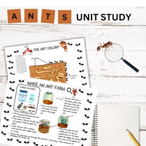 Ant Nature Study Bundle Charlotte Mason Ant Colony Learning Materials ...
