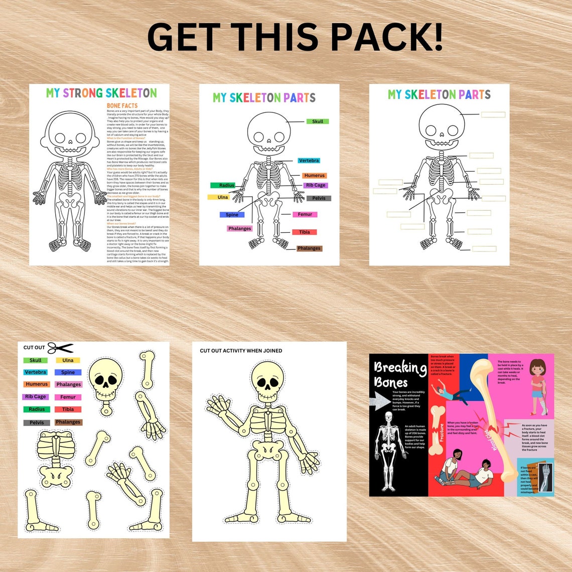Human Skeleton Anatomy Busy Book Skeleton Study Printable Kids Learning ...