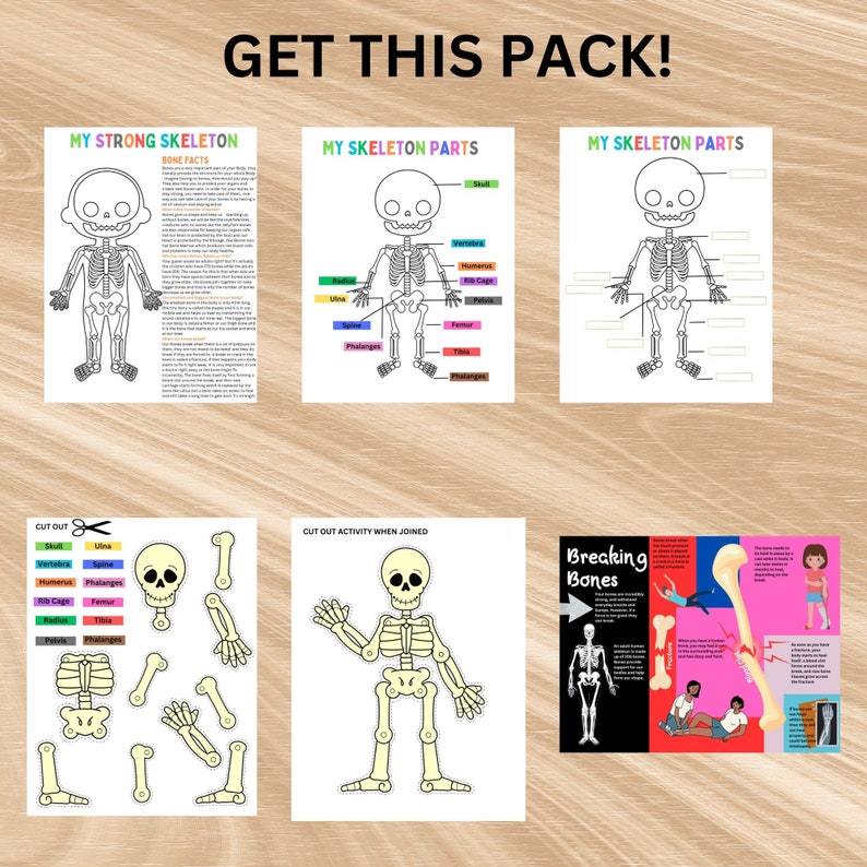Human Skeleton Anatomy Busy Book Skeleton Study Printable Kids Learning ...