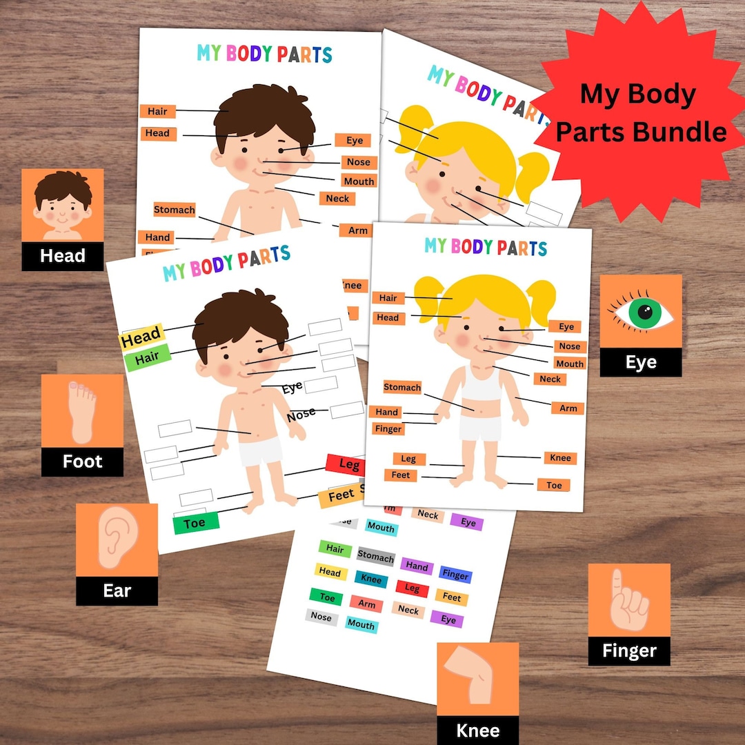 Body Parts Busy Bundle Toddler Learning Binder Kids Activities ...
