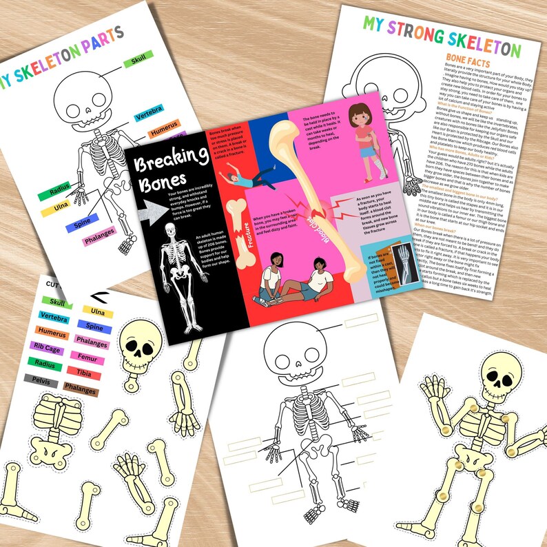 Human Skeleton Anatomy Busy Book Skeleton Study Printable Kids Learning ...