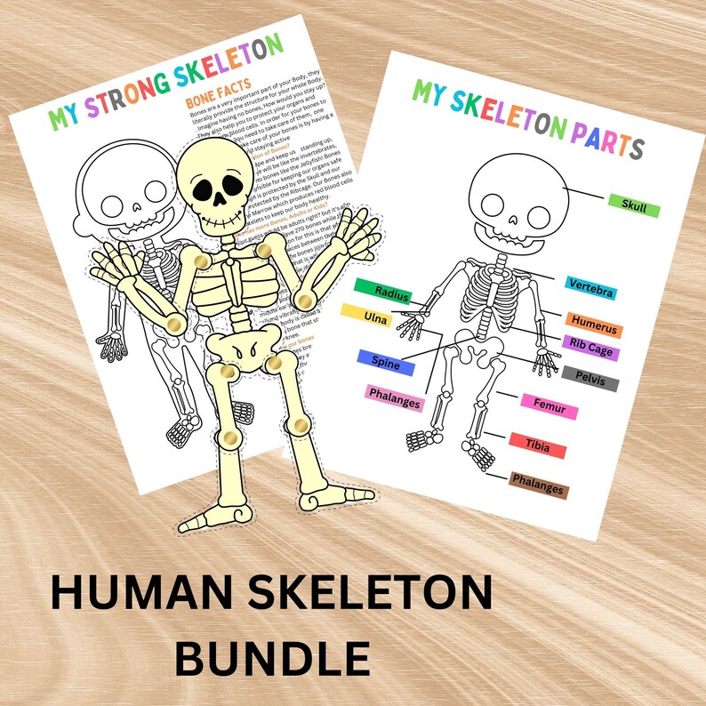 Human Skeleton Anatomy Busy Book Skeleton Study Printable Kids Learning ...