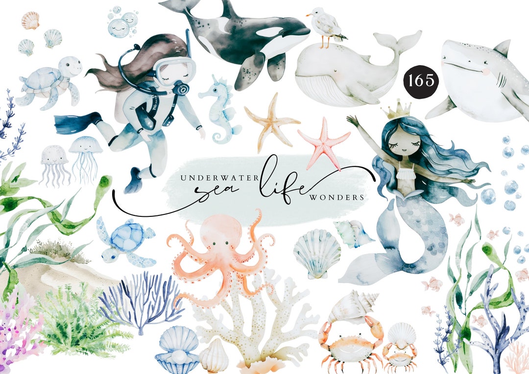 Cute Ocean Animals Watercolor Clipart, Under the Sea Nursery Decor PNG ...