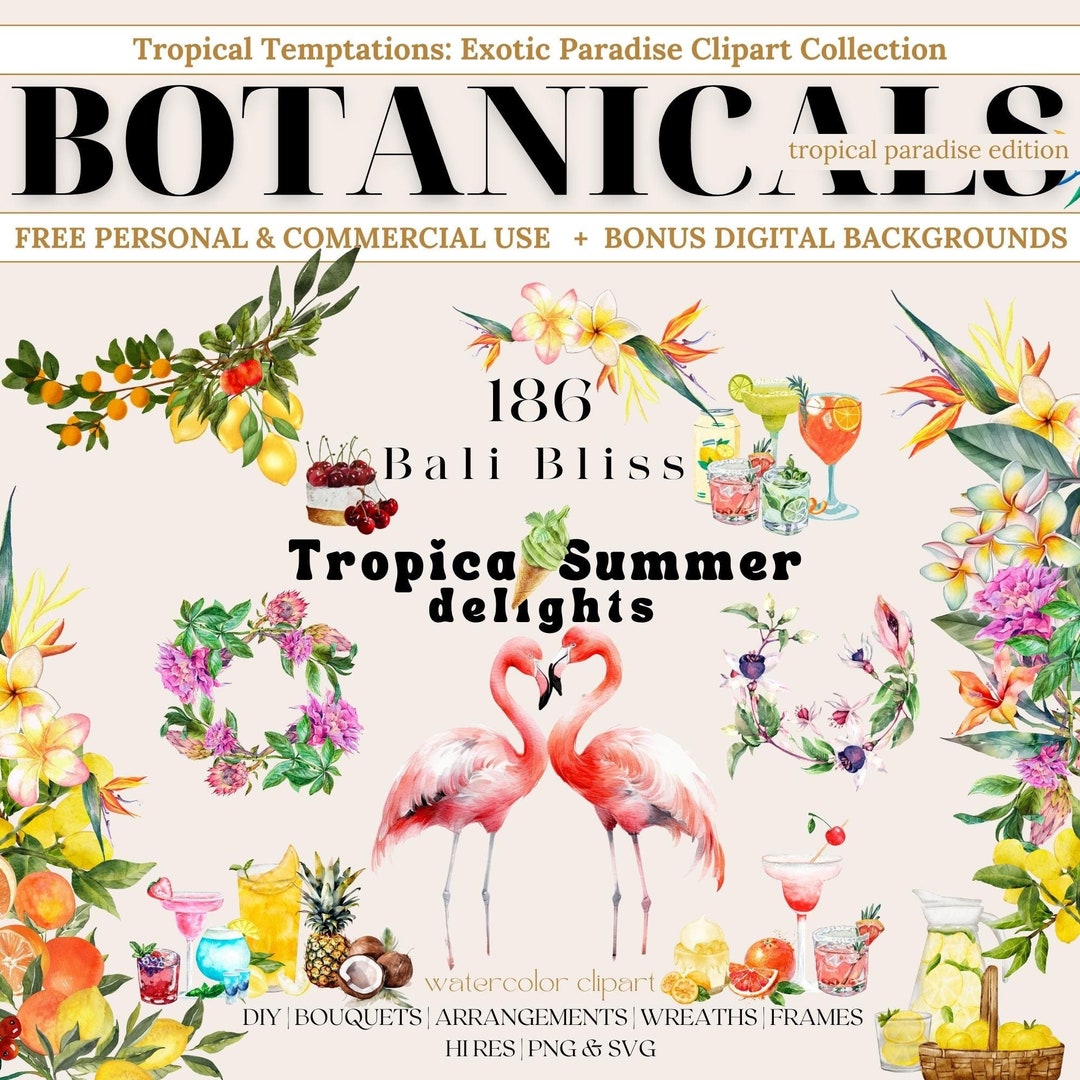Watercolor Tropical Summer Clipart, Summer Cocktail Graphics, Summer ...
