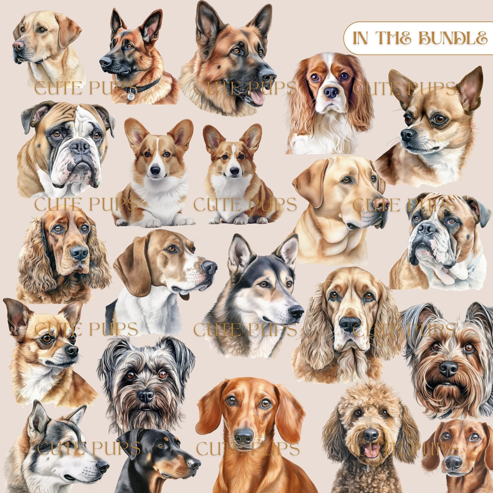 Watercolor Dogs Bundle, Dogs Faces, Dog Portraite, Dogs PNG Sublime ...