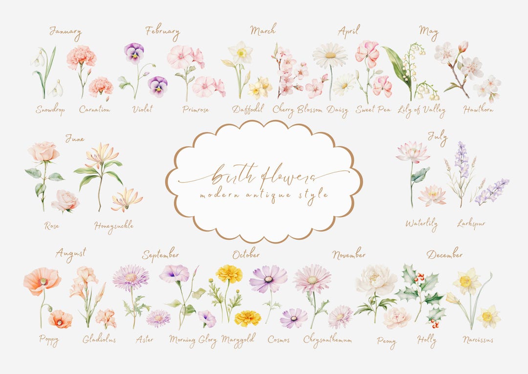 Birth Month Flowers Clipart, Modern Antique Floral PNG Bundle, DIY ...