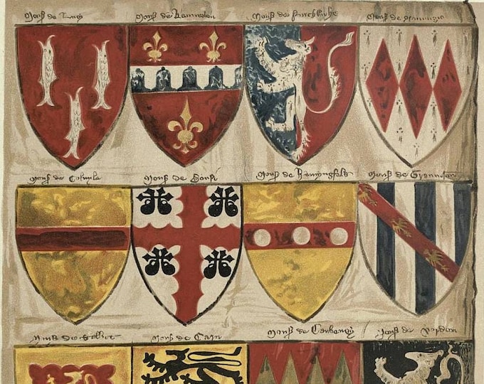 125 Historic Medieval Heraldic Design Coats of Arms Illustrations and ...