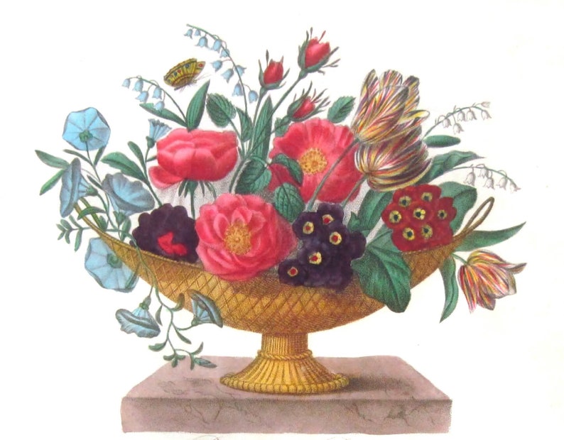 100 Vintage Floral Design Illustrations - Companion Flowers ...