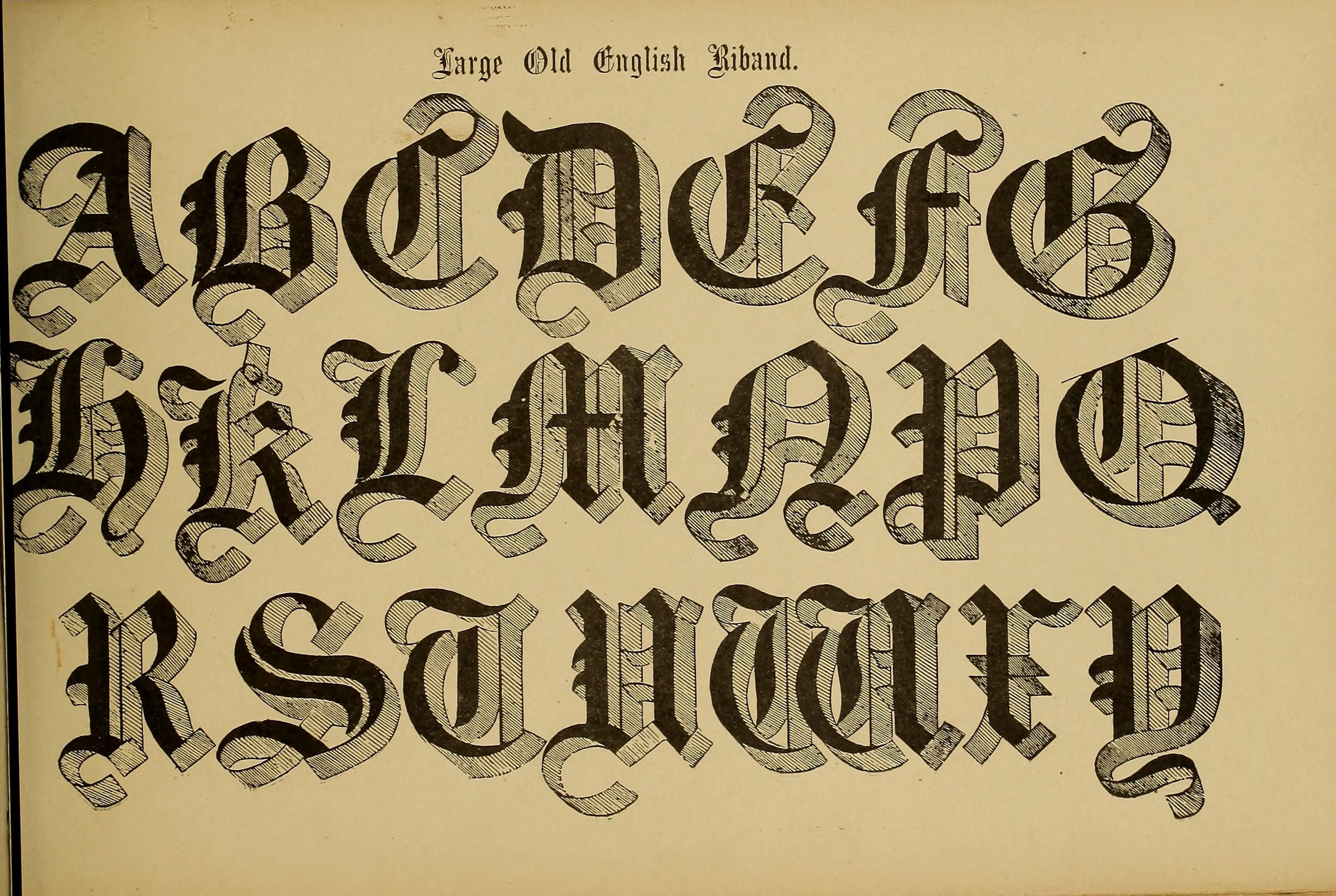 Curated Collage and Decoupage Vintage Illustration Collection IV - 600 ...