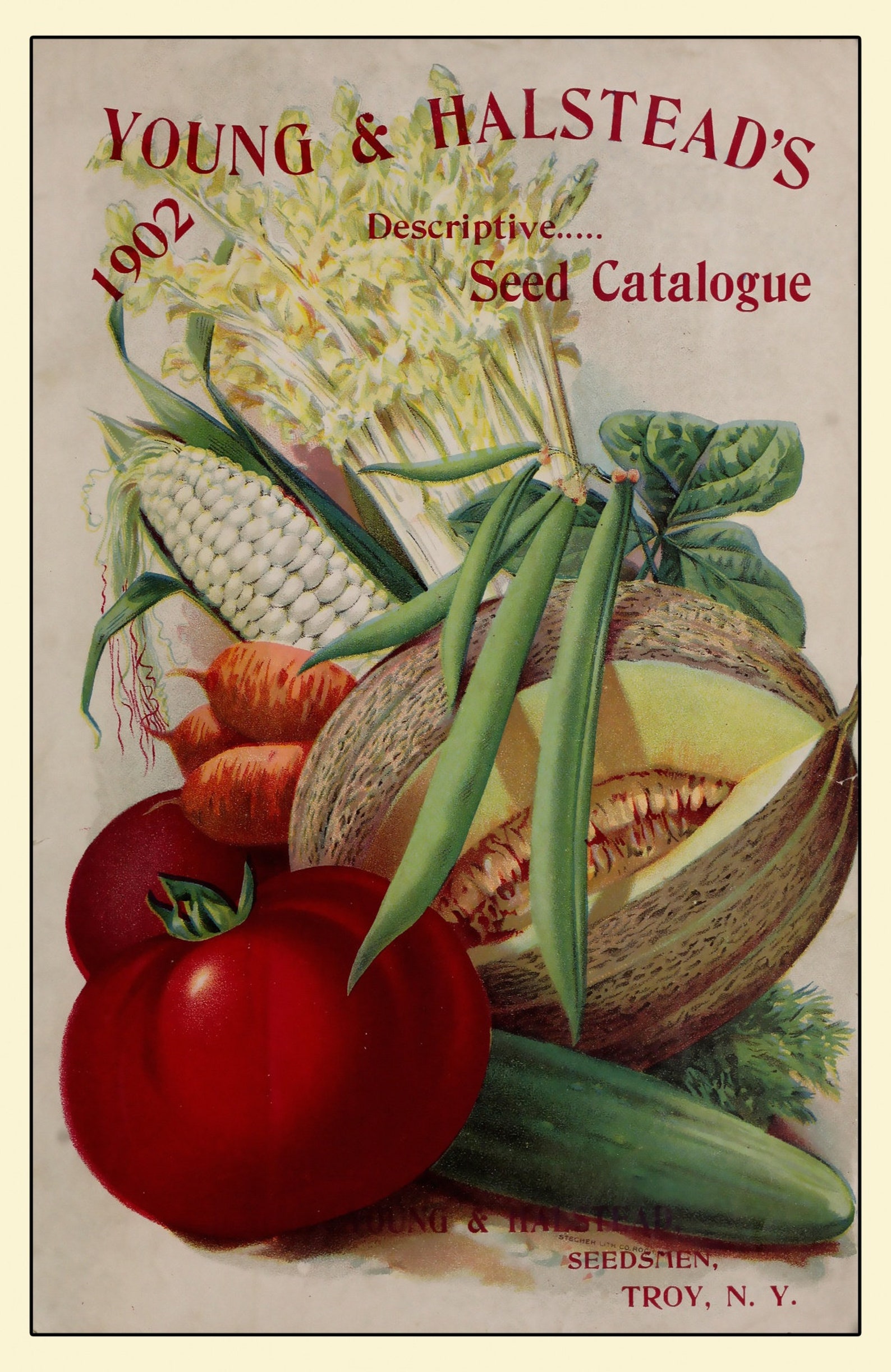 75 Vintage Seed Packets and Nursery Catalog Covers - Etsy