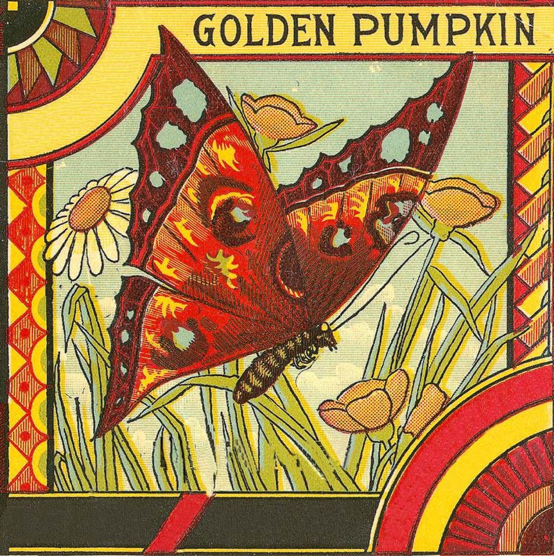 150 Bright and Colorful Vintage Fruit, Vegetable and Flower Shipping ...