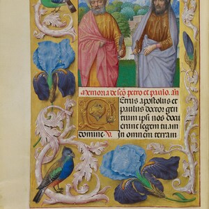 100 Medieval Illuminated Manuscript Pages - Images From 15th Century ...