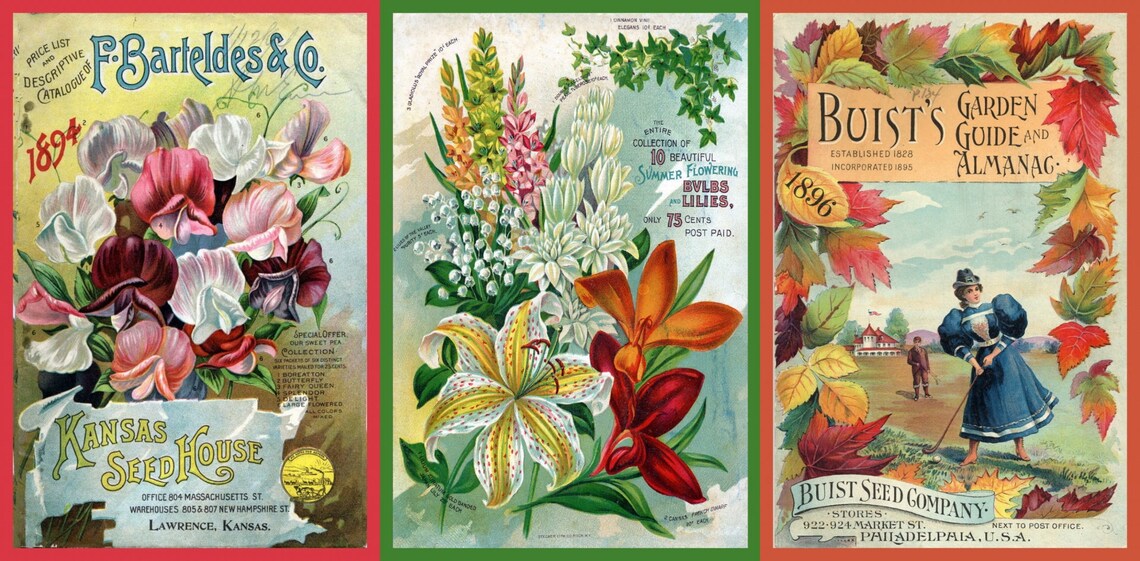 75 Vintage Seed Packets and Nursery Catalog Covers - Etsy