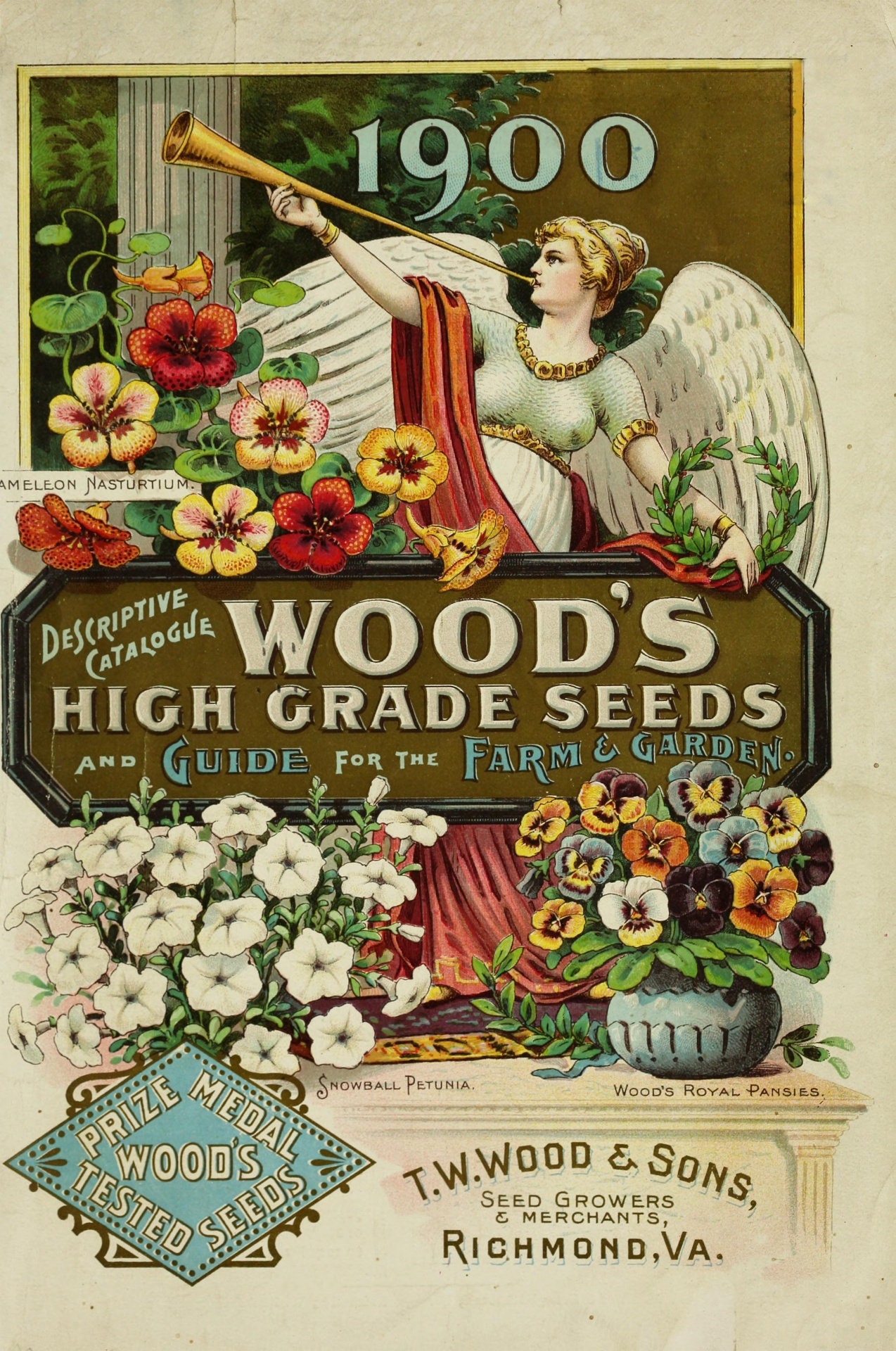 75 Vintage Seed Packets and Nursery Catalog Covers - Etsy