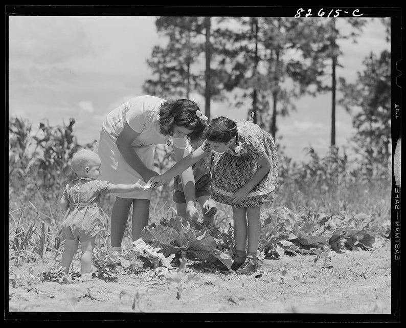 150 Wartime Victory Garden Photos From Vintage Negatives and Posters - Real American Victory ...