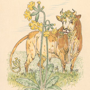 Curated Collection of 40 Hi Res Illustrations From "flowers Fom ...