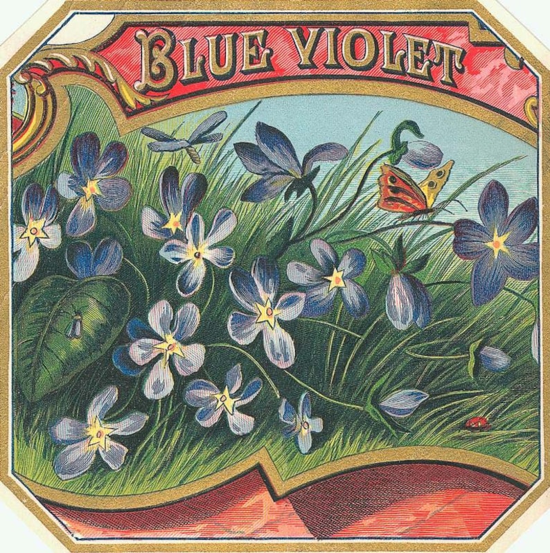 150 Bright and Colorful Vintage Fruit, Vegetable and Flower Shipping ...