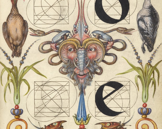 125 Historic Medieval Heraldic Design Coats of Arms Illustrations and ...